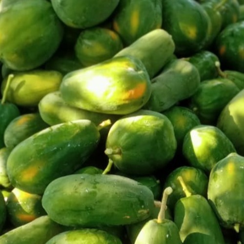 Premium Fruits Limited.