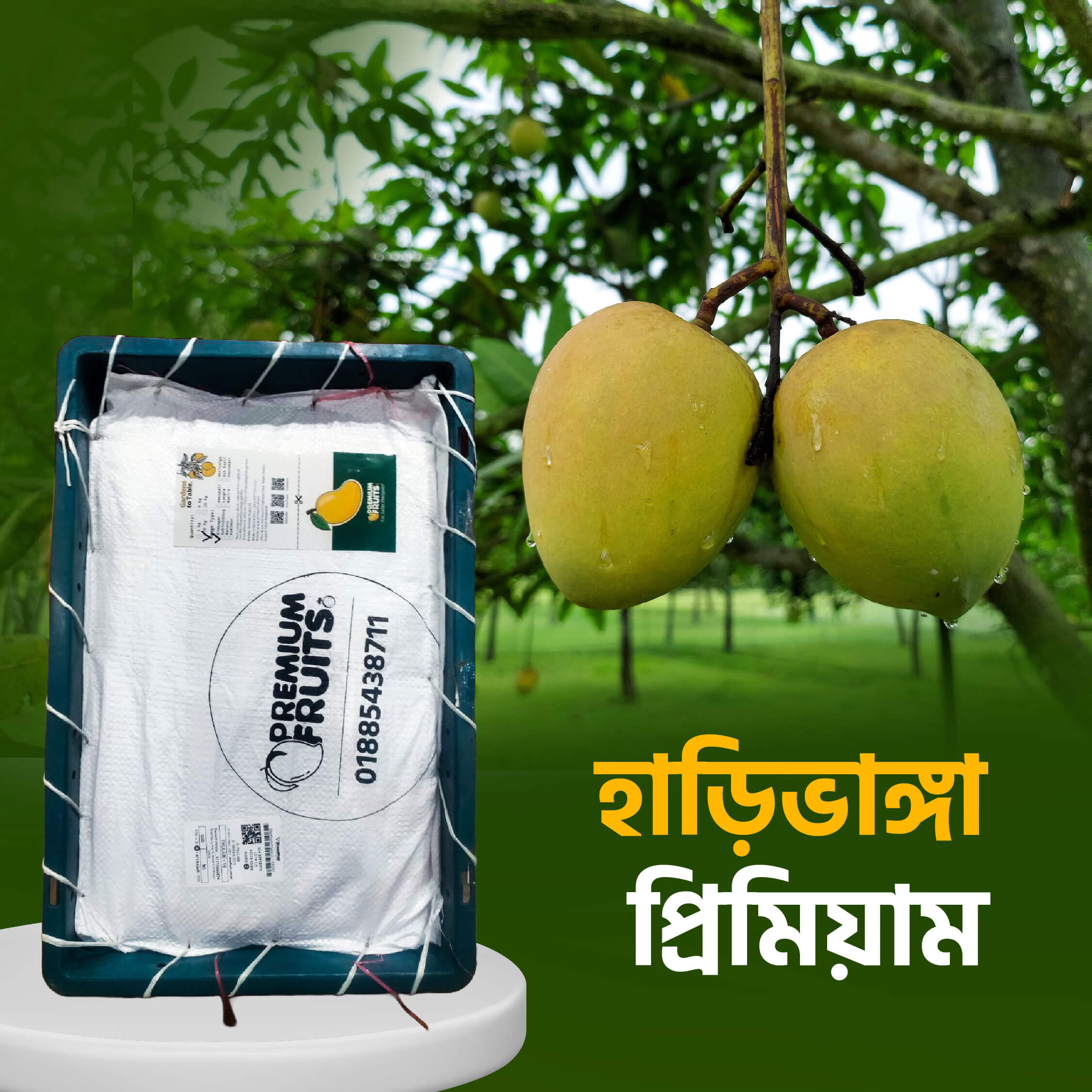 Premium Fruits Limited.